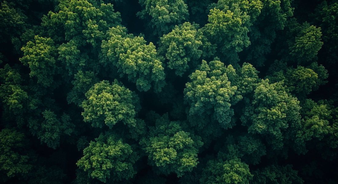 LSA connection & telecommunications technology